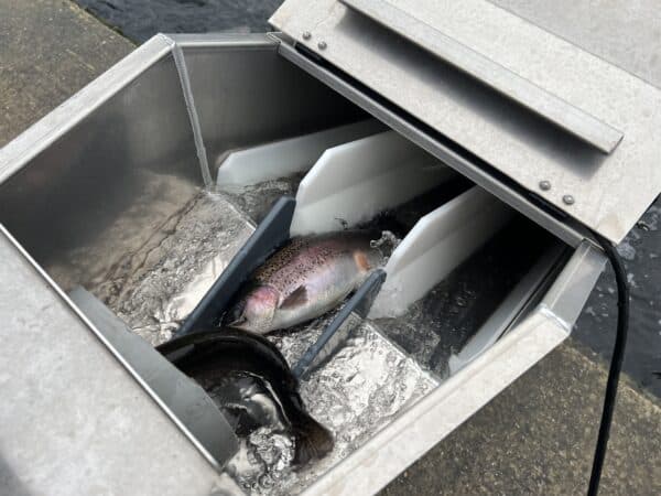 Pescavision 40 Fish counter - Faivre Aquaculture